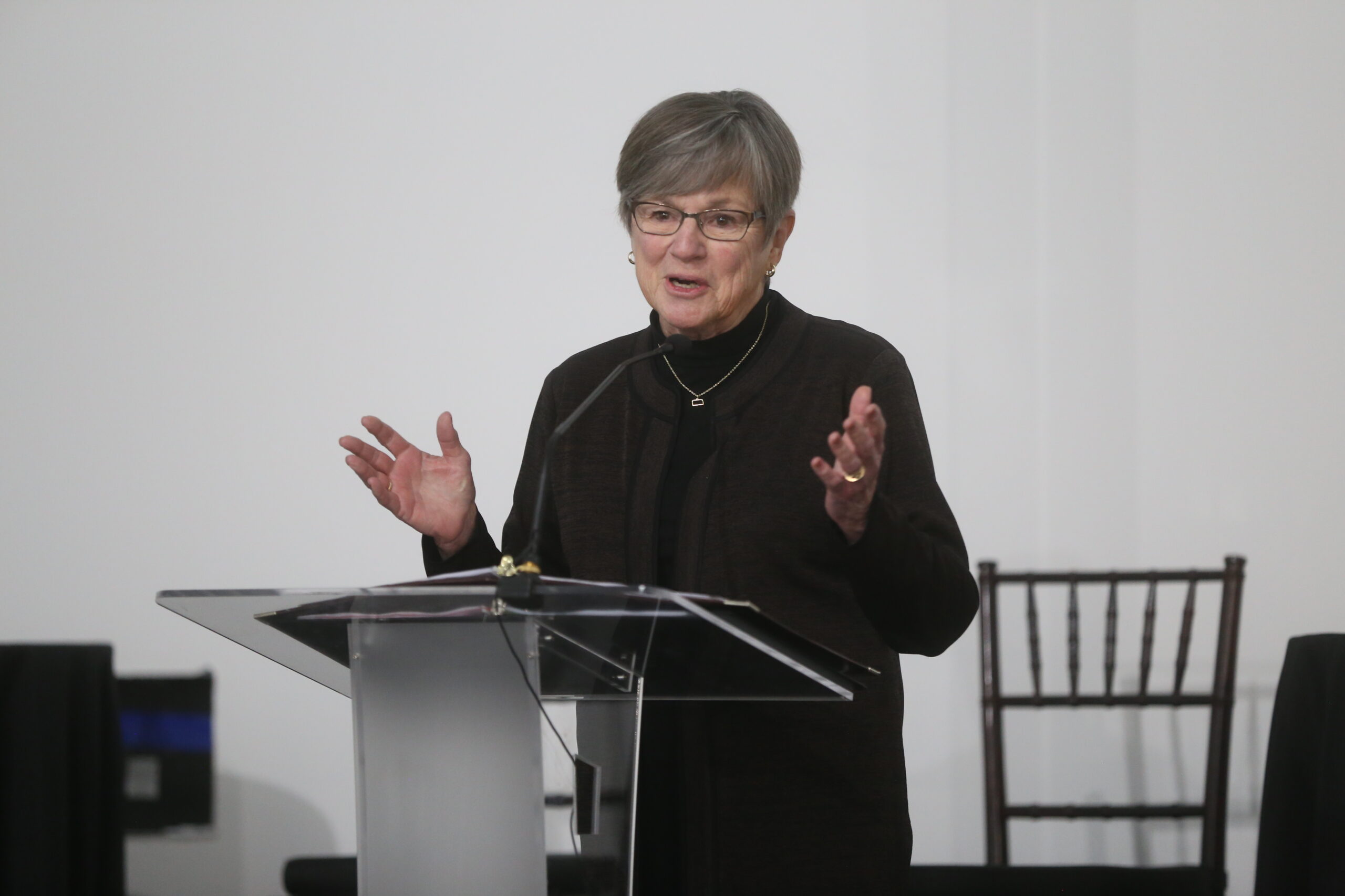 Gov. Kelly announces $2.5 million partnership with Blue Cross Blue ...